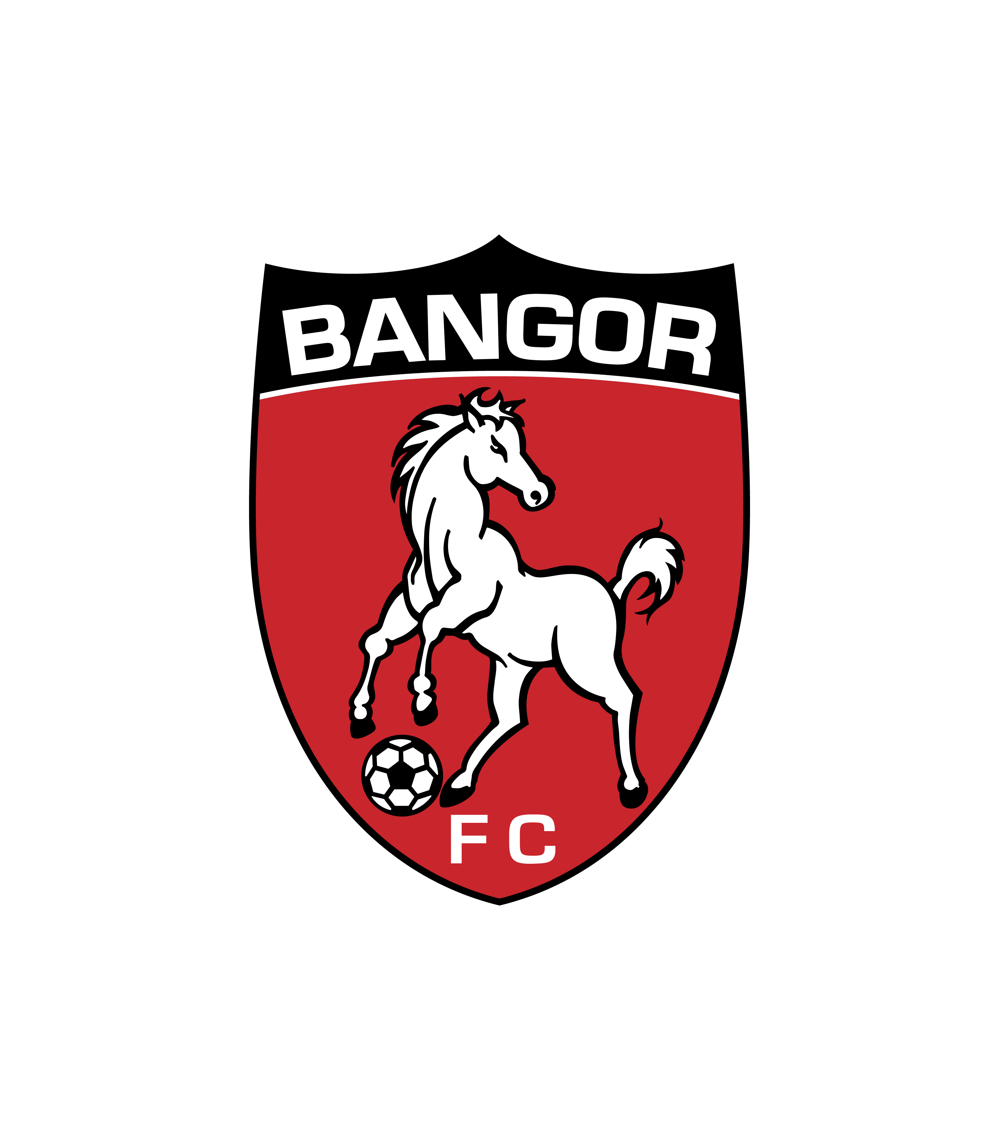 Bangor Brumbies Logo | Deploy Football